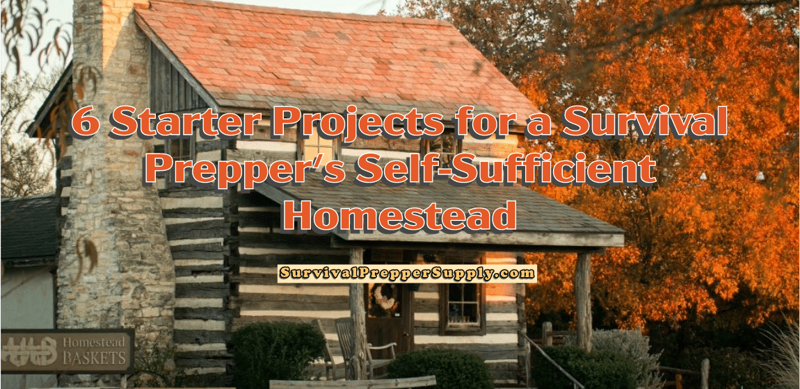 6 Survival Prepper’s Starter Projects You Need Now to Homesteads